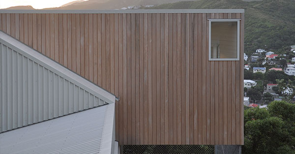 A home perched above Wellington is Home of the Year 2019 third finalist